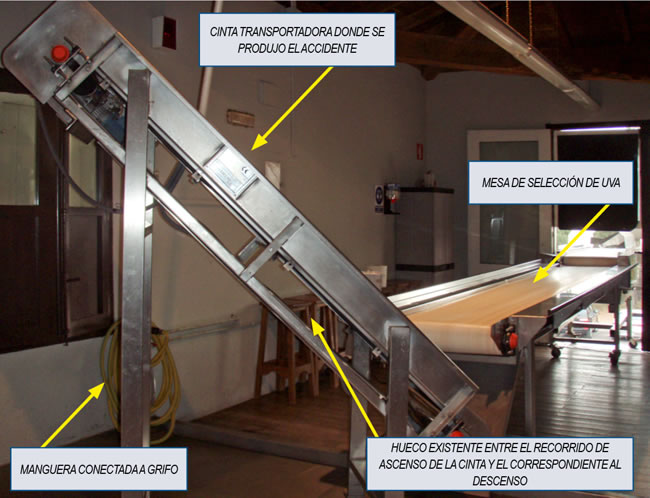 Atrapamiento por cinta transportadora sin protección lateral. BINVAC